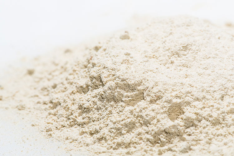 Terra Biota K9 Probiotic for Dogs | BioStar US