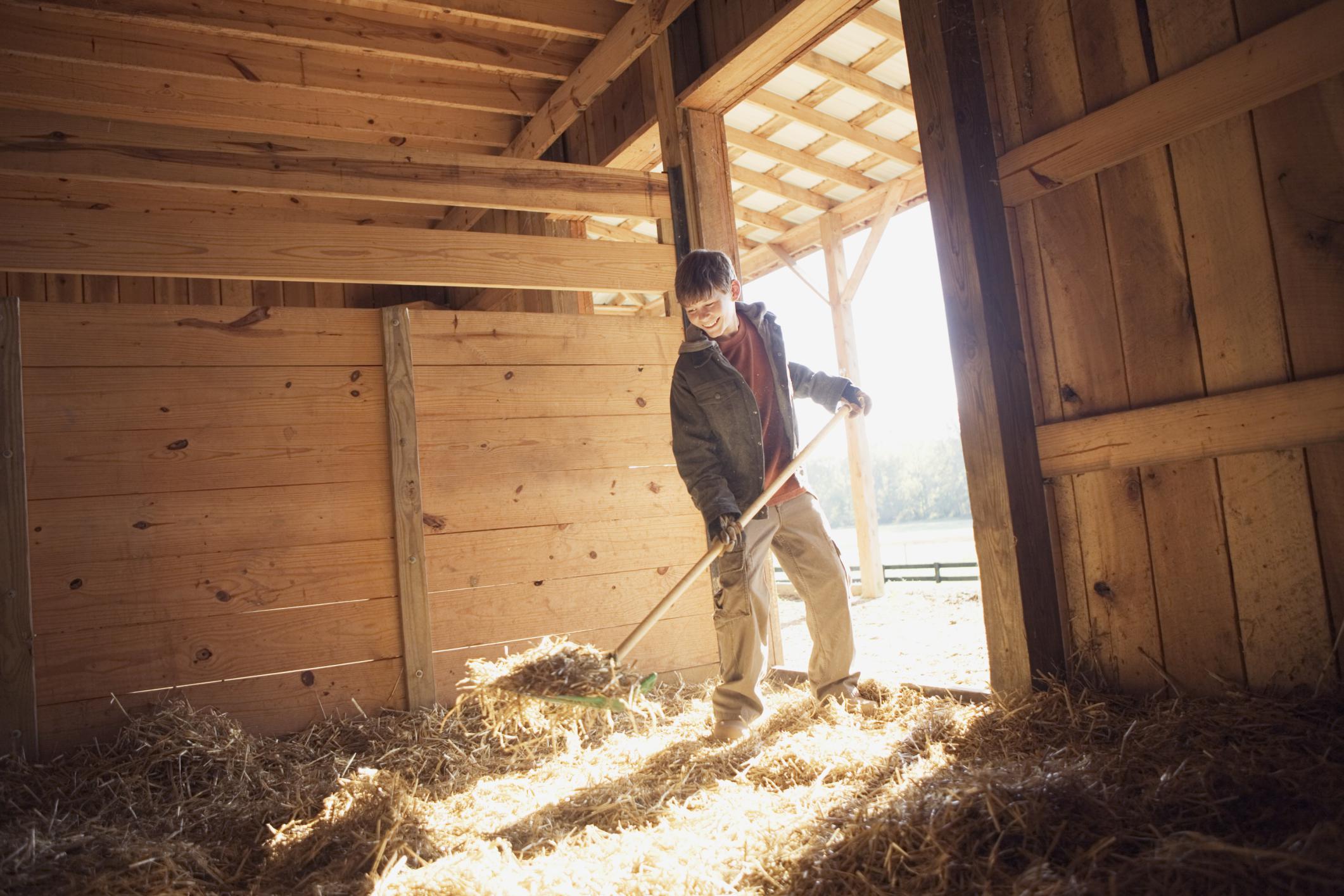 Stall Mucking After All These Years | BioStar US