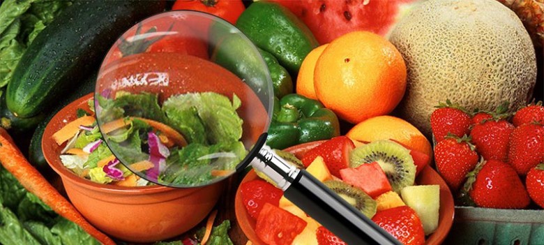 Beyond the Labels: Food Ingredients and Quality | BioStar US