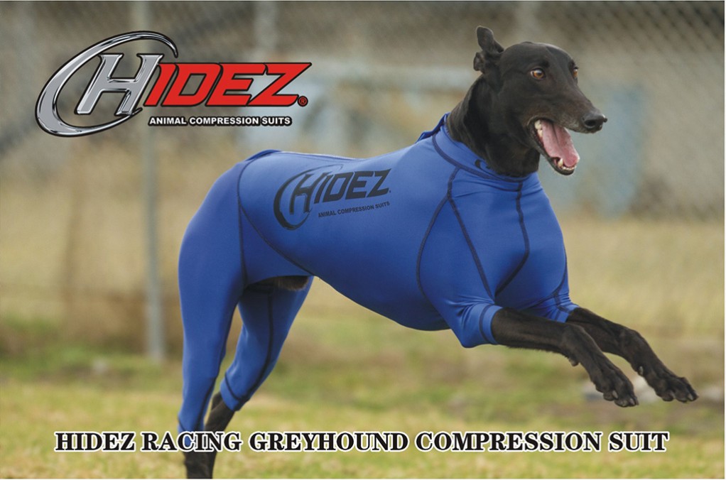 greyhound compression suit