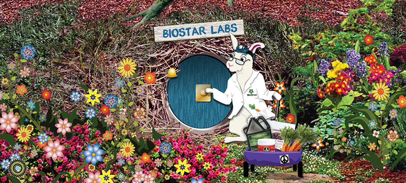 Formulation: Behind the Scenes at BioStar - BioStar US