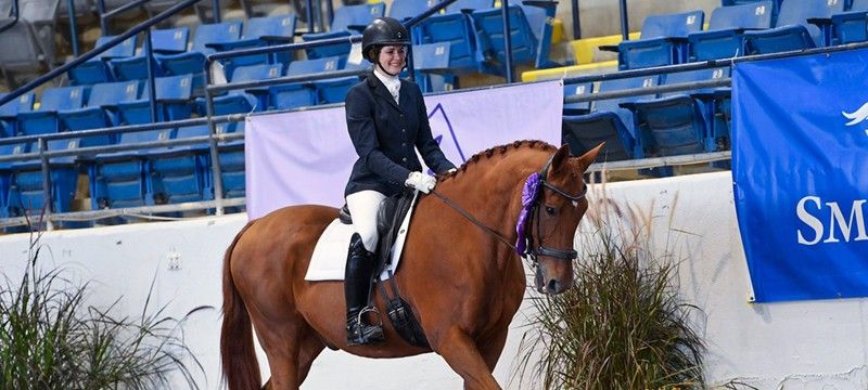 Alixir EQ Horse Recovery Formula Saves the Show | BioStarUS