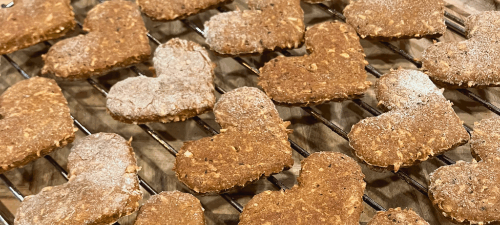 Lizzy's Wisdom: Peacekeeper Treats for Dogs (Recipe!) | BioStar US